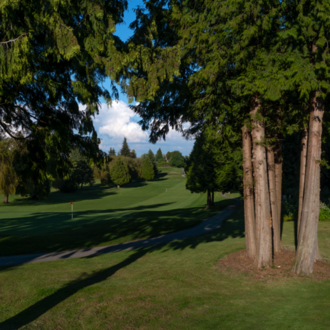 Careers - University Golf Club